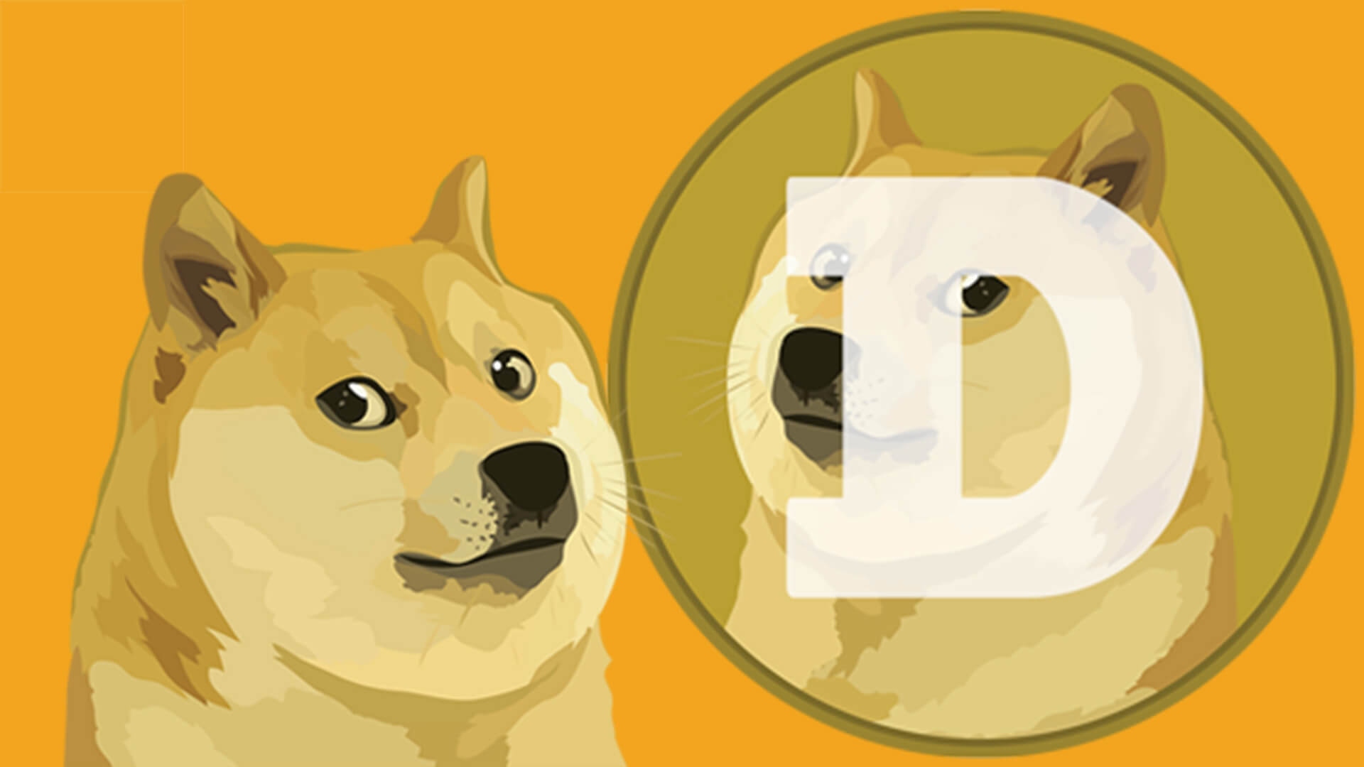 The World’s First Dogecoin Cruise Will Sail in Spring 2024 - Howl Movie