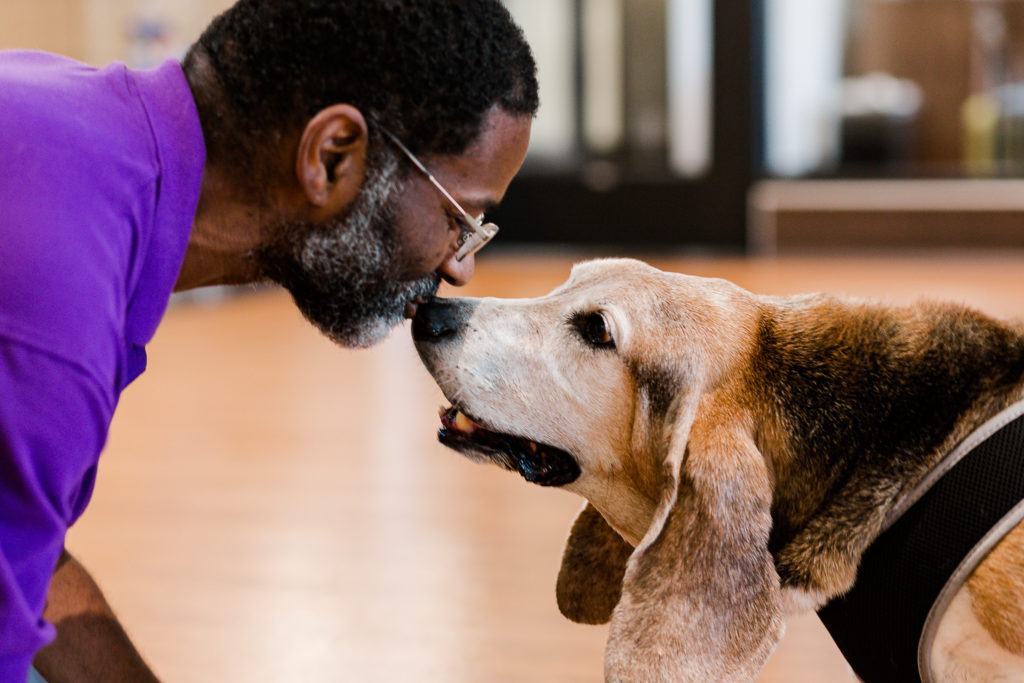 Strengthening Bonds Through Training: How Dog Training Enhances the ...