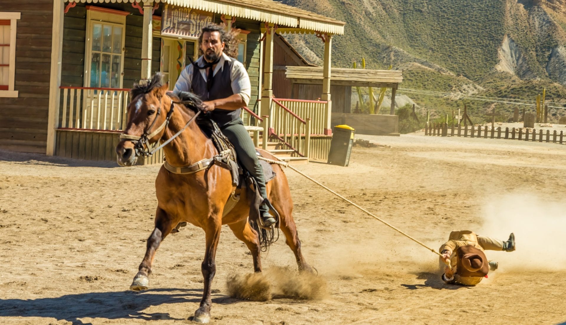 Hollywood Hoof Myths: Common Misconceptions About Horses in Movies ...