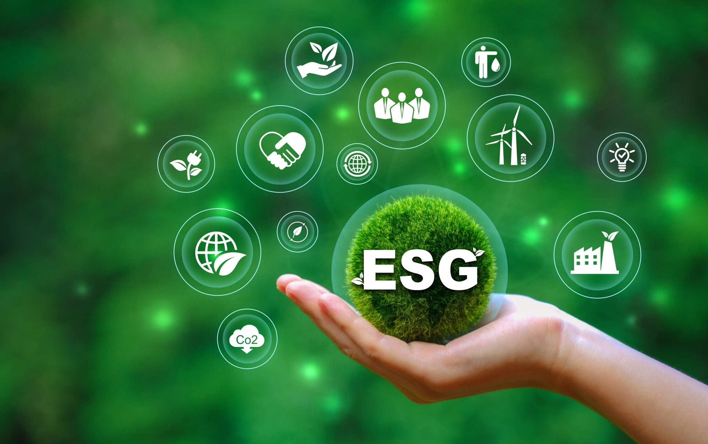 3 Ways to Align Business Goals With ESG Standards - Howl Movie